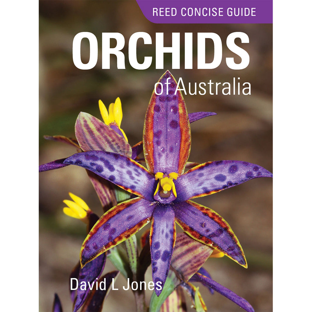 Reed Concise Guide: Orchids of Australia – National Museum Australia