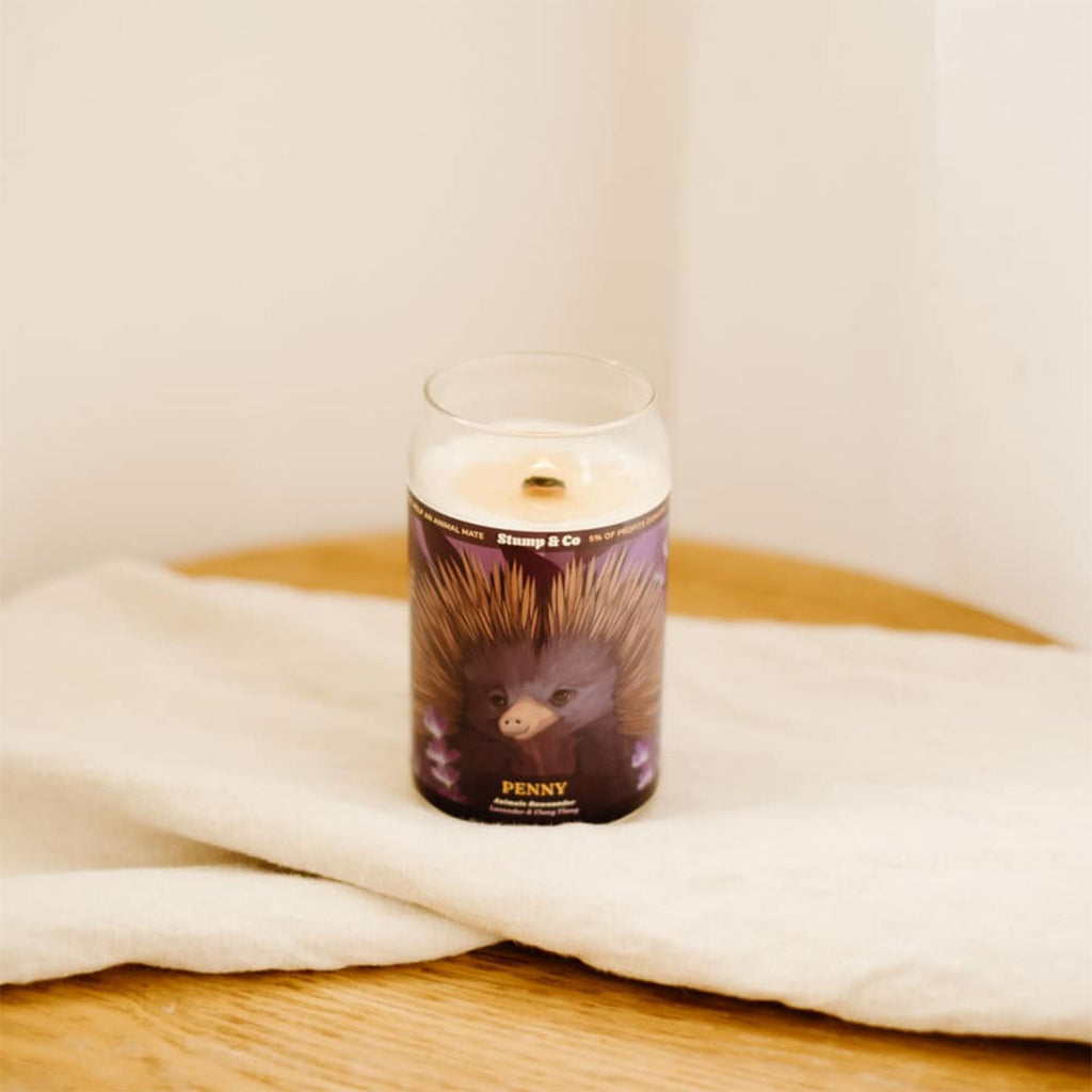 Candle in a Can Penny - Stump and Co – National Museum Australia