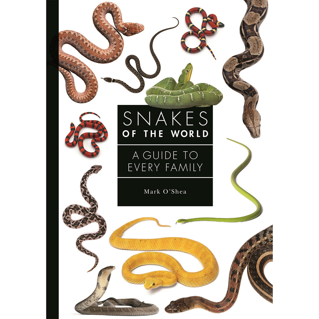 Snakes of the World – National Museum Australia