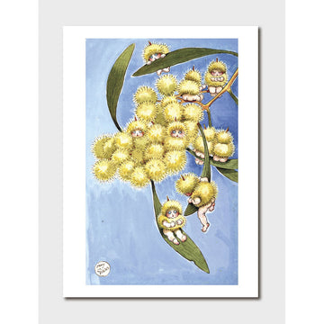 May Gibbs – National Museum Australia