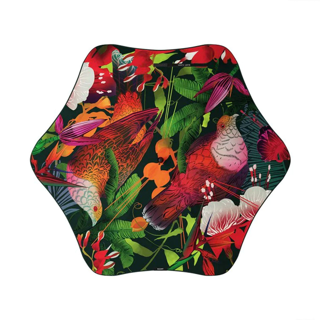 Umbrella Class x Flox 2023 - Blunt – National Museum Australia