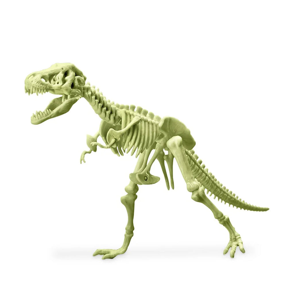 KidzLabs Glowing T Rex Skeleton- Johnco Productions – National Museum ...