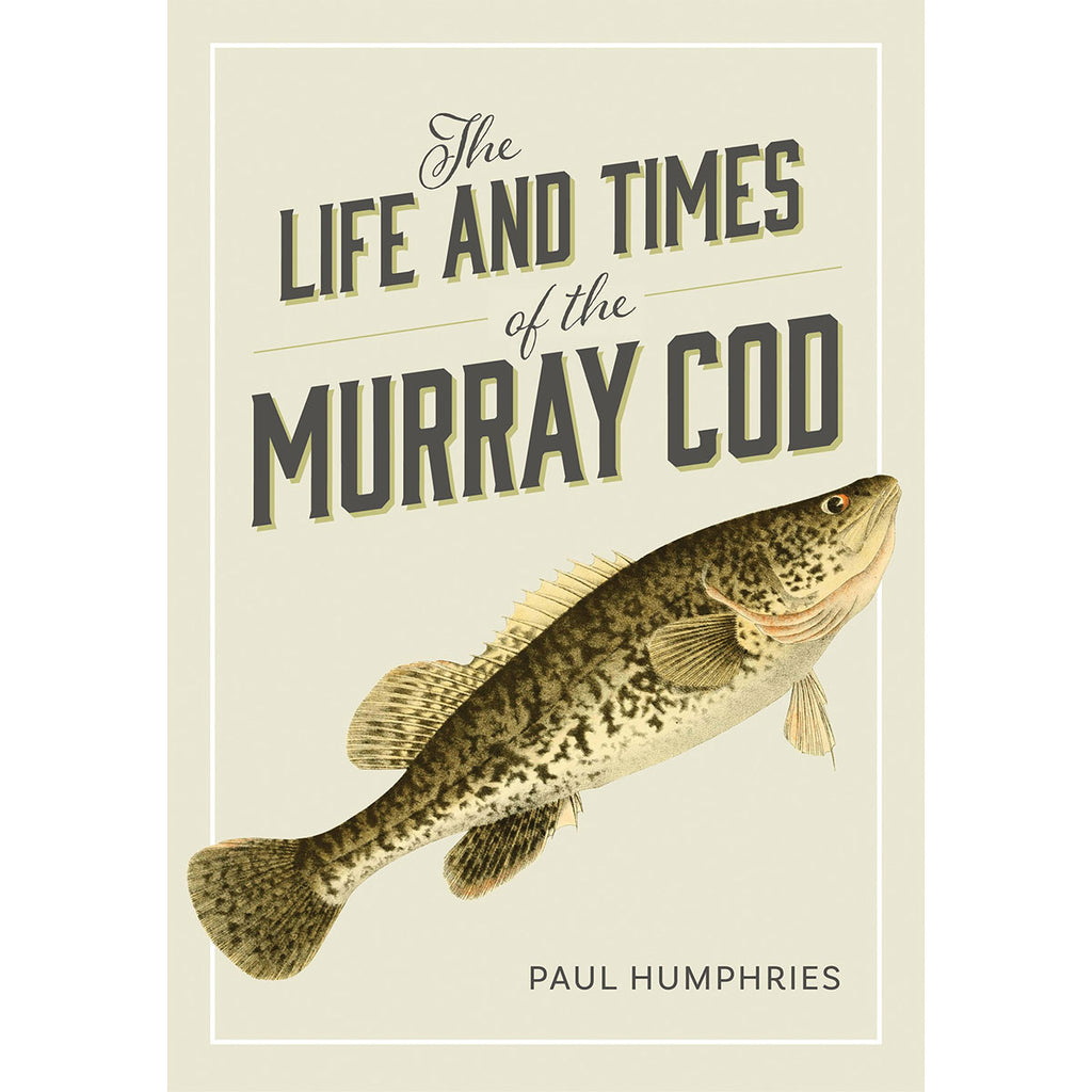 Life and times of the Murray Cod – National Museum Australia