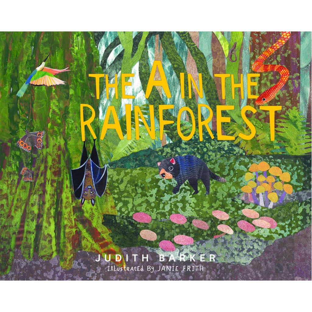 The A in the Rainforest - Judith Barker – National Museum Australia