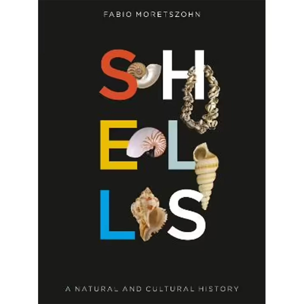 Shells: A Natural and Cultural History – National Museum Australia