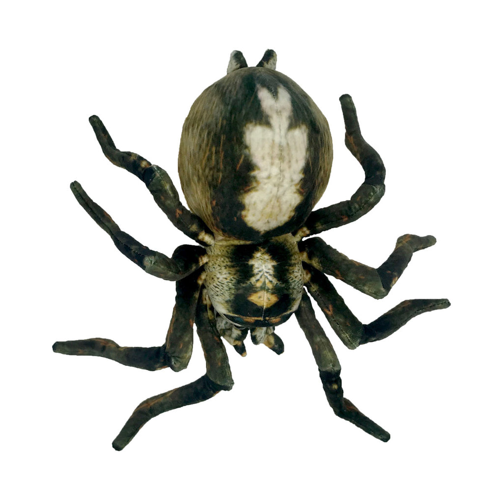 Soft Toy Sebastian Spider - Huggable Toys – National Museum Australia