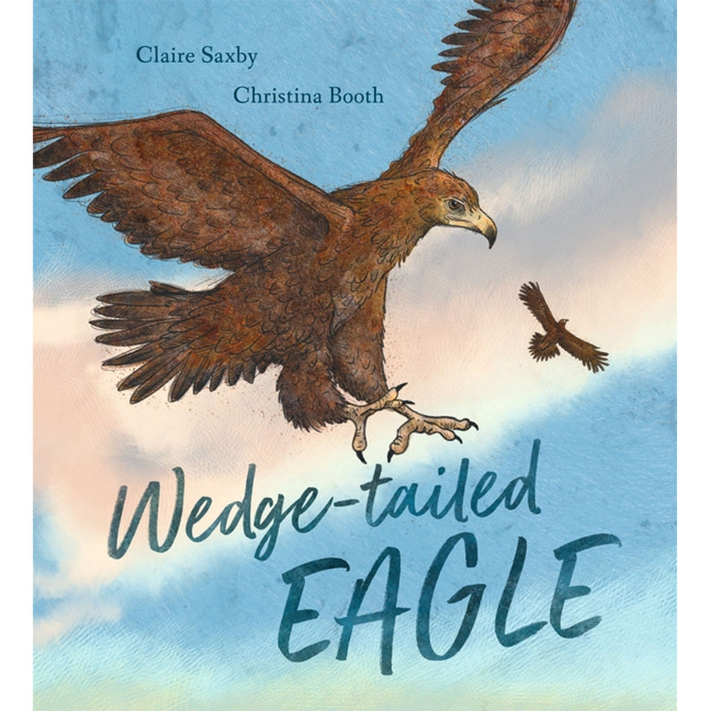 Wedge-Tailed Eagle - Claire Saxby – National Museum Australia