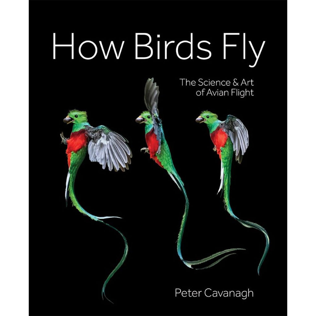 How Birds Fly: The Science and Art of Avian Flight – National Museum ...
