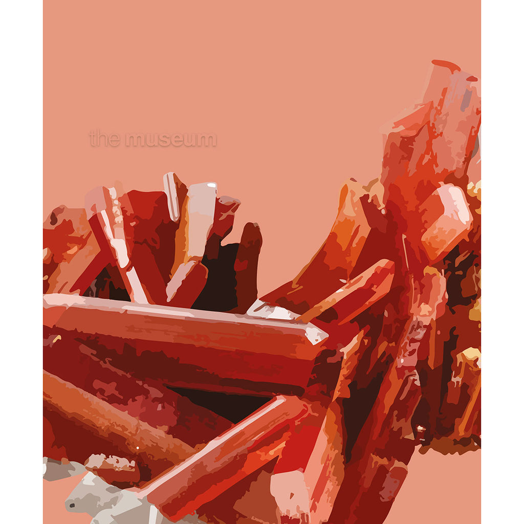 The Museum magazine issue 20 – National Museum Australia