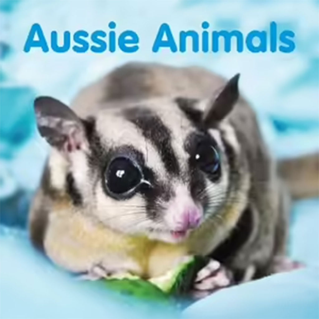 Aussie Animals-Board Book – National Museum Australia