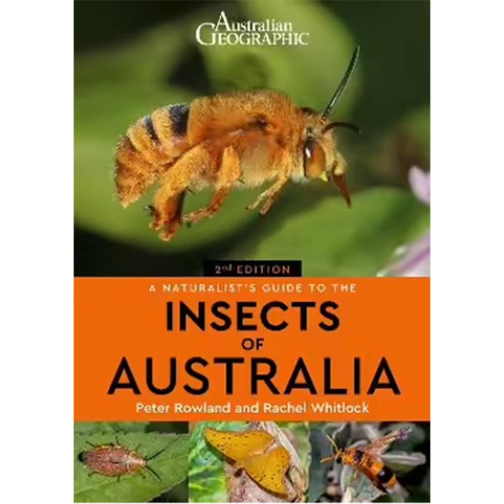 Naturalist Guide to the Insects of Australia – National Museum Australia