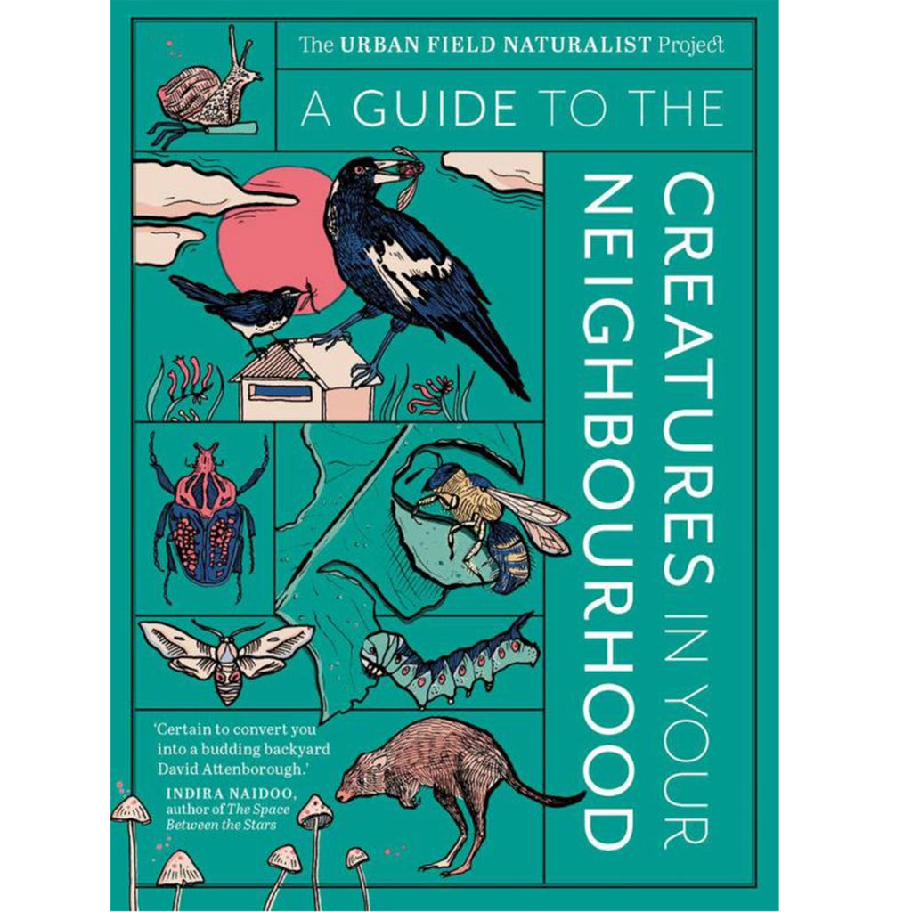 A Guide to the Creatures in Your Neighbourhood – National Museum Australia
