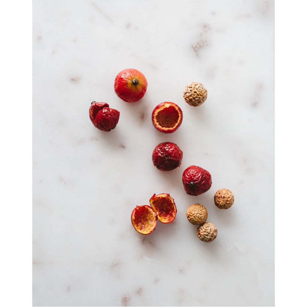 Quandong 50g - Warndu – National Museum Australia