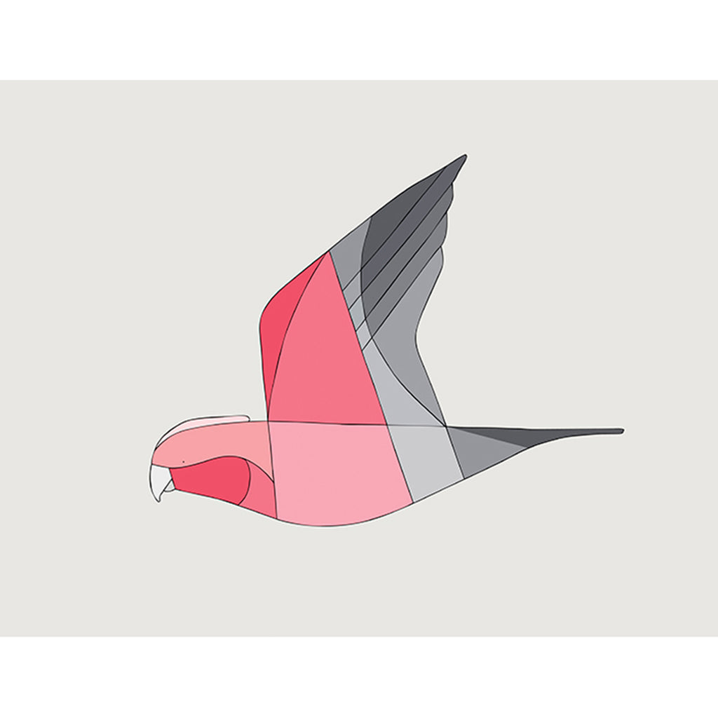 Print Medium Galah in Flight 50 x 40 cm - Eggpicnic – National Museum ...