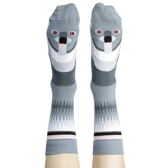 Socks Koala 8-11 - WilsonPayne Aust – National Museum Australia